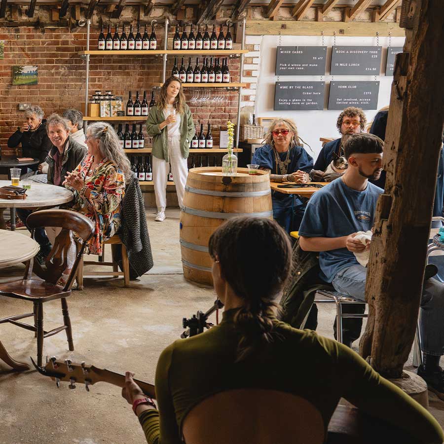 Experience Flint Vineyard