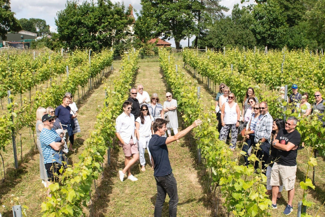 Flint Vineyard Cellar Door - Visit the Vineyard